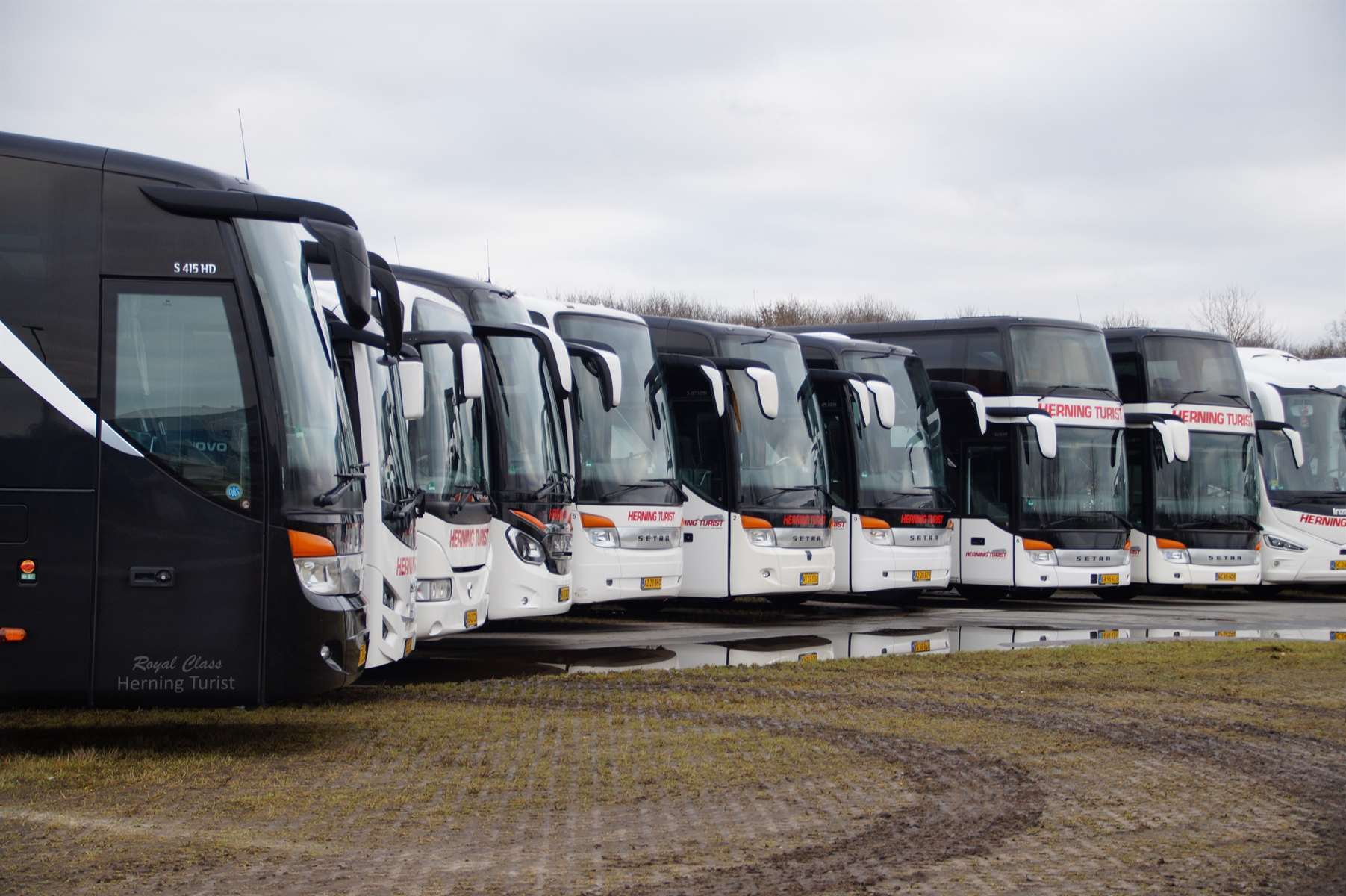 VIP Busser fra Herning i Jylland | VIP kørsel med bus i hele Danmark